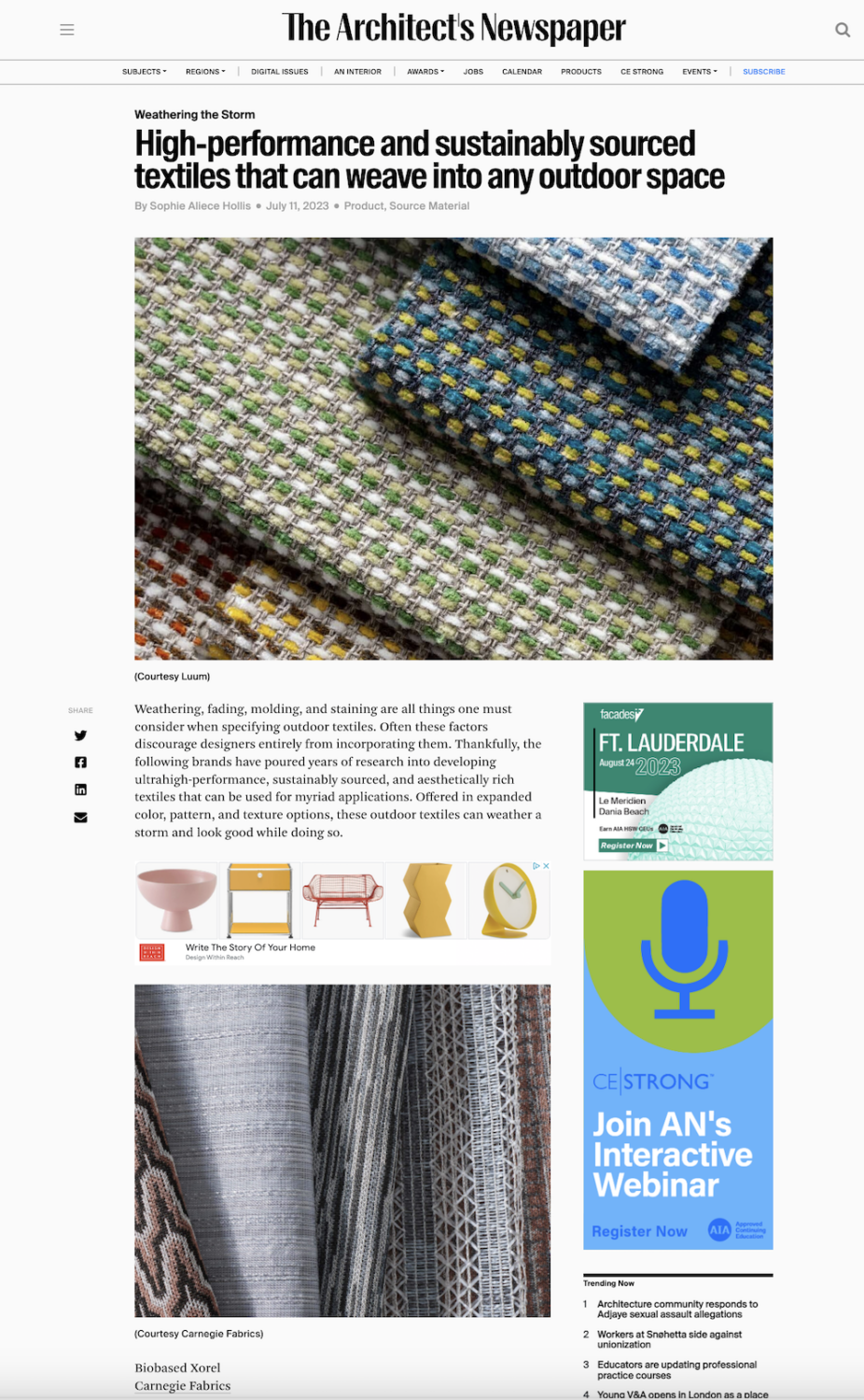 Talks & Thoughts - SUZANNE TICK