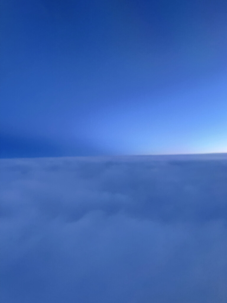 Building the Light Winter Solstice Suzanne Tick